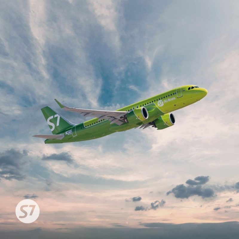 Bear on the runway: S7 Airlines crew carried out for go-around